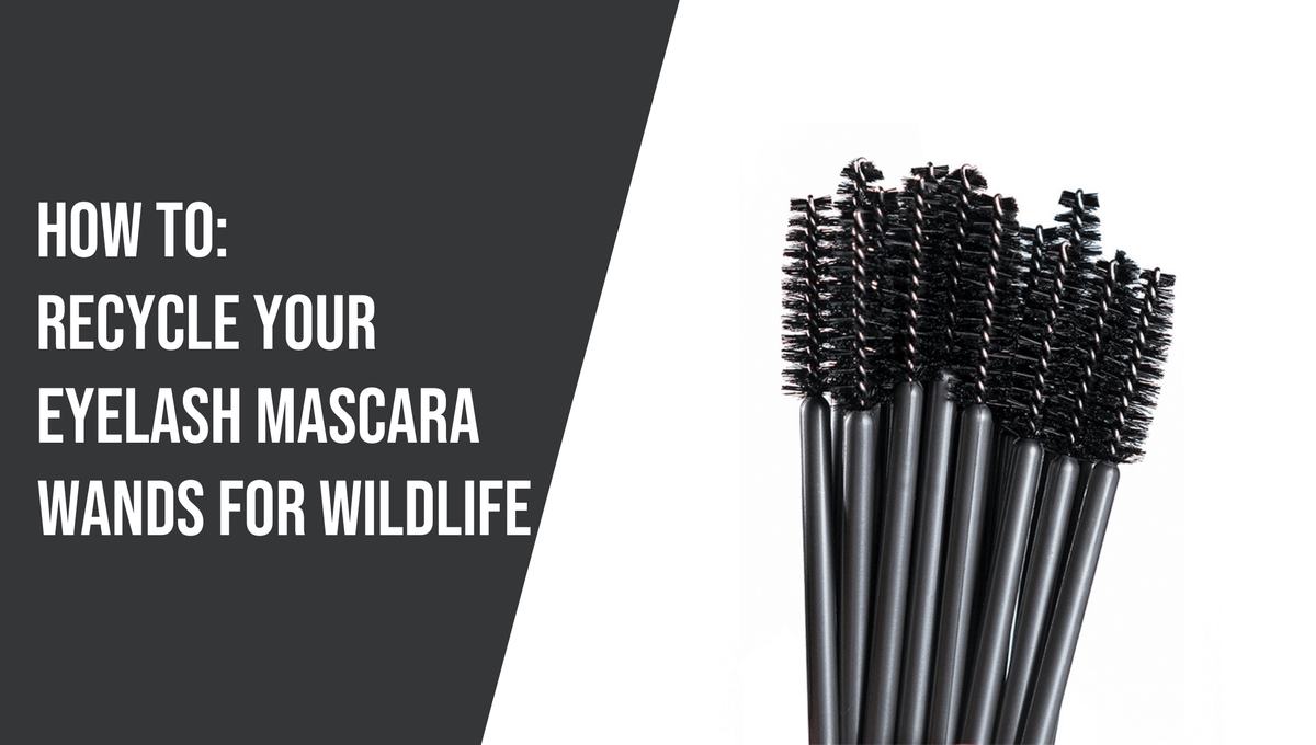 Recycle Your Eyelash Mascara Wands for Wildlife | Mascara Wand Donation ...